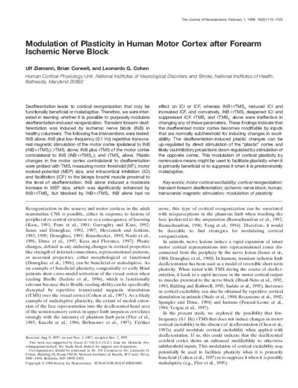 (PDF) Re-emergence of hand-muscle representations in human motor cortex ...