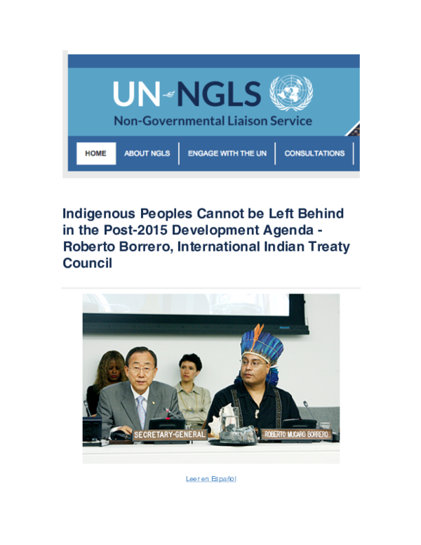 (PDF) Indigenous Peoples Cannot be Left Behind in the Post-2015 ...