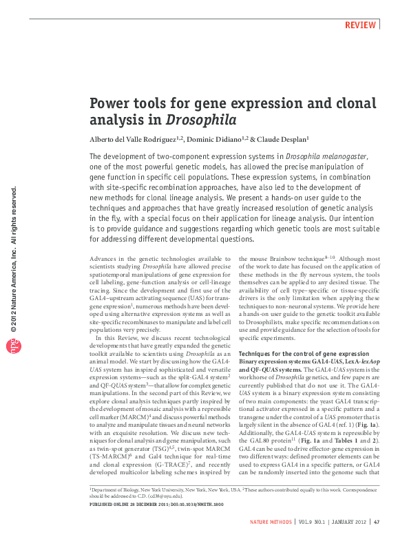 (PDF) Power tools for gene expression and clonal analysis in Drosophila. (PDF) Power tools for gene expression and clonal analysis in Drosophila.
