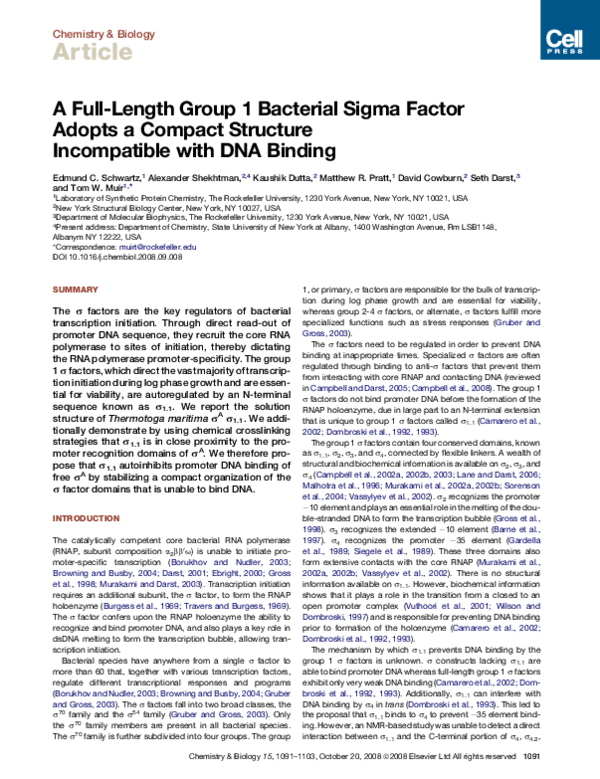 (PDF) Sigma Factor Structurally Inhibits DNA Binding