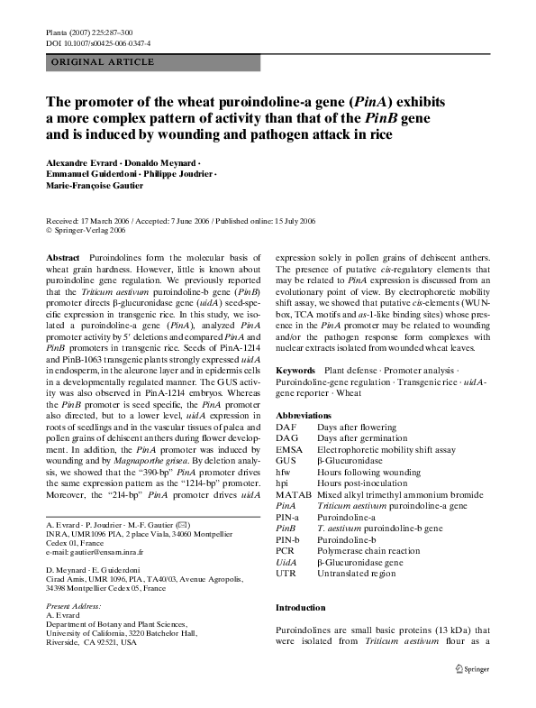 (PDF) The promoter of the wheat puroindoline-a gene (PinA) exhibits a ...