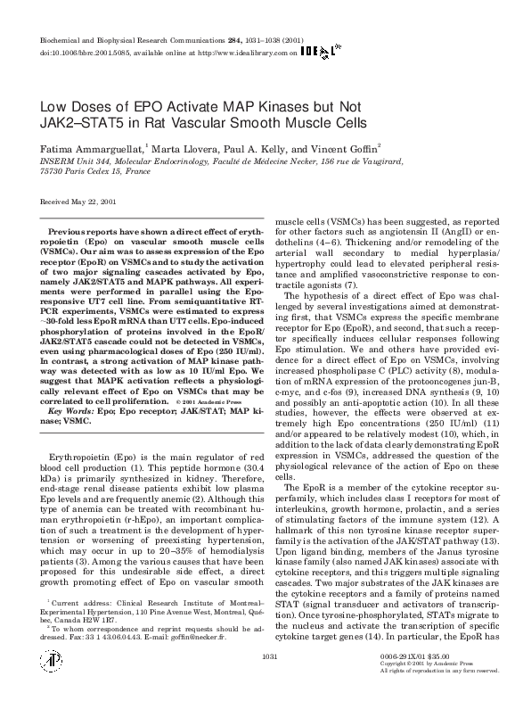 (PDF) Low Doses of EPO Activate MAP Kinases but Not JAK2–STAT5 in Rat ...