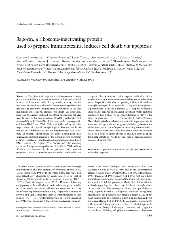 (PDF) Saporin, a ribosome-inactivating protein used to prepare ...