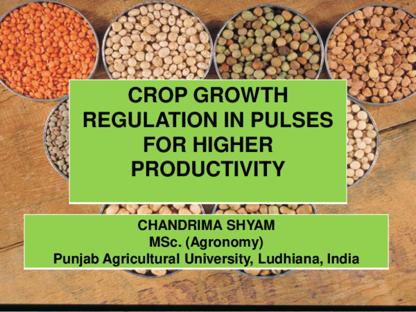 (PDF) CROP GROWTH REGULATION IN PULSES FOR HIGHER PRODUCTIVITY