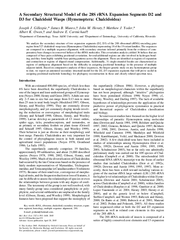 (PDF) A Secondary Structural Model of the 28S rRNA Expansion Segments ...