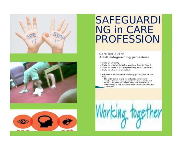 (DOC) Safeguarding in care profession