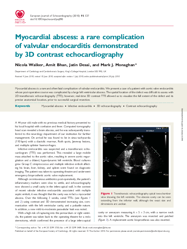 (PDF) A 3-dimensional transoesophageal echocardiography perspective of ...