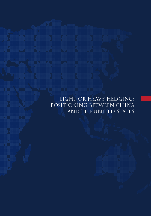 (PDF) (With Gilbert Rozman) “Introduction to 'Light or Heavy Hedging ...