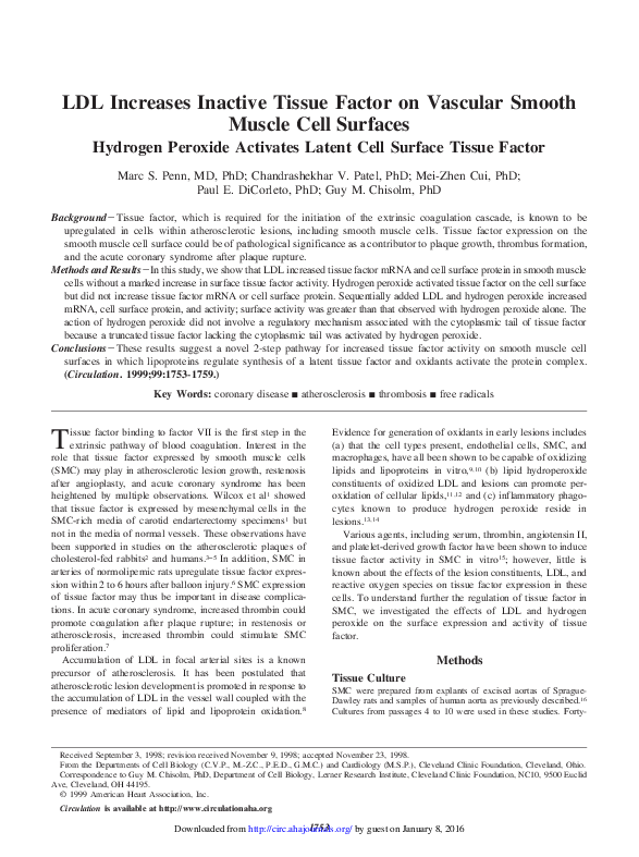(PDF) LDL Increases Inactive Tissue Factor on Vascular Smooth Muscle ...