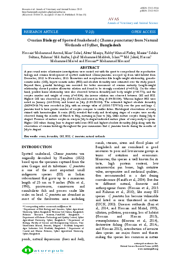 (PDF) Ovarian Biology of Spotted Snakehead (Channa punctatus) from ...