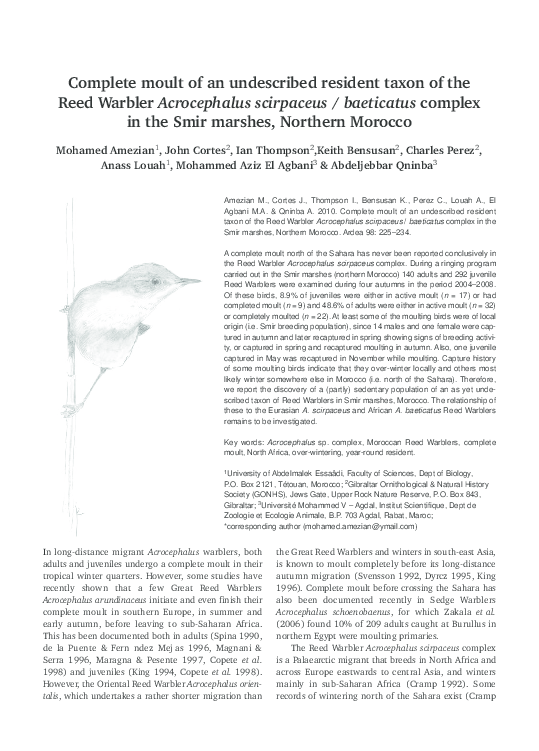 (PDF) Complete Moult of an Undescribed Resident Taxon of the Reed ...