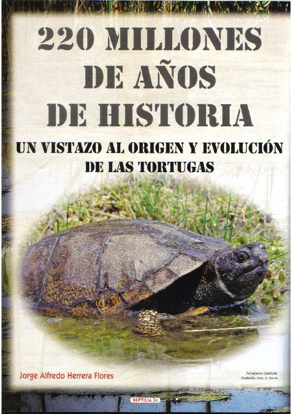 (PDF) 220 Millones de años de historia: Un vistazo al origen y ...