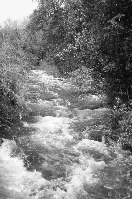 (PDF) Tel Dan: A Temple at the Source of the Jordan River