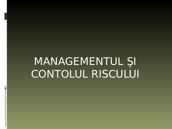 (PPT) Managementul Riscului