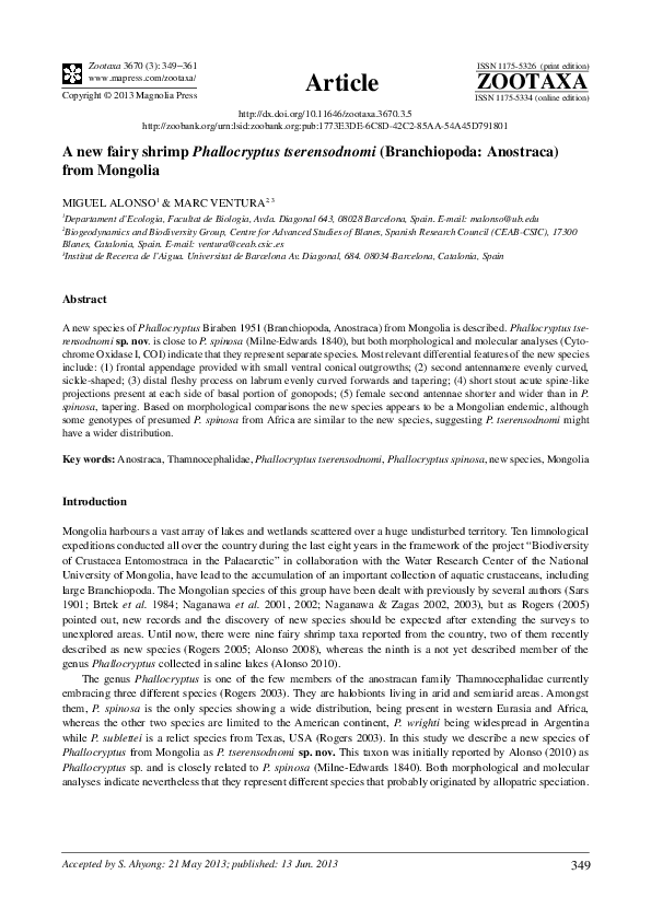 A new fairy shrimp Phallocryptus tserensodnomi (Branchiopoda: Anostraca ...