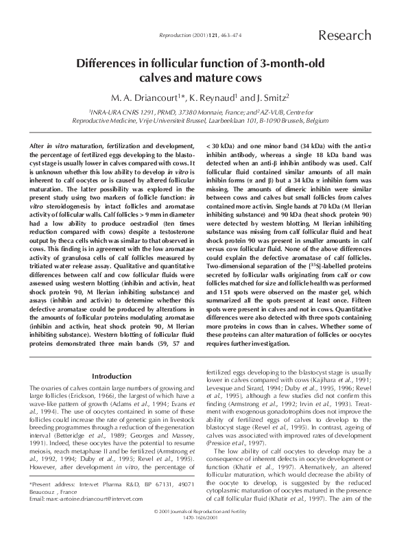 (PDF) Differences in follicular function of 3-month-old calves and ...