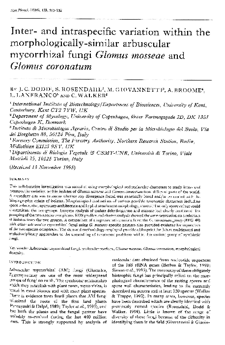 (PDF) Inter-and intraspecific variation within the morphologically ...
