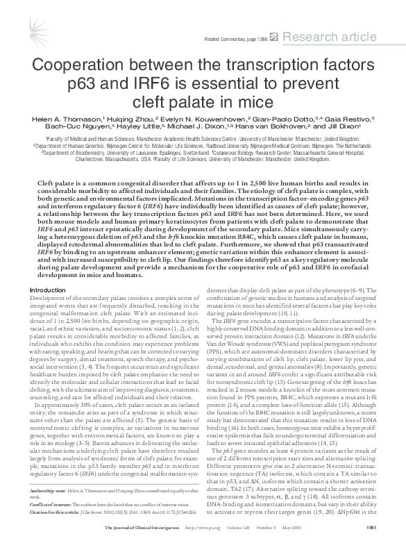(PDF) Cooperation between the transcription factors p63 and IRF6 is ...