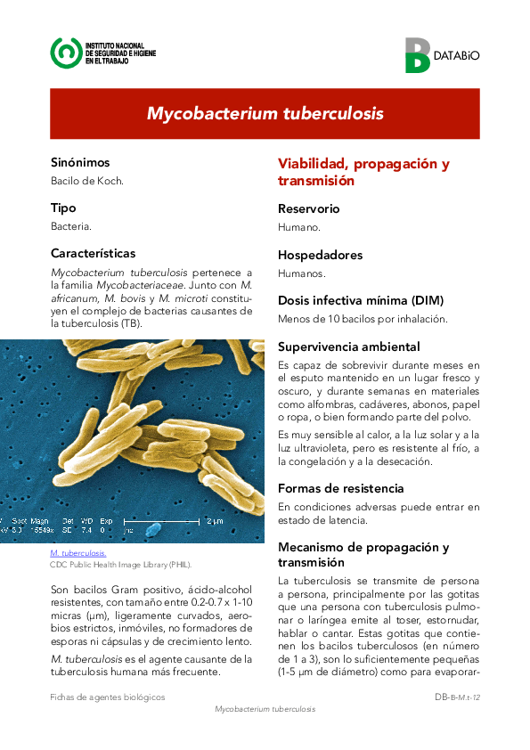 (PDF) Mycobacterium tuberculosis