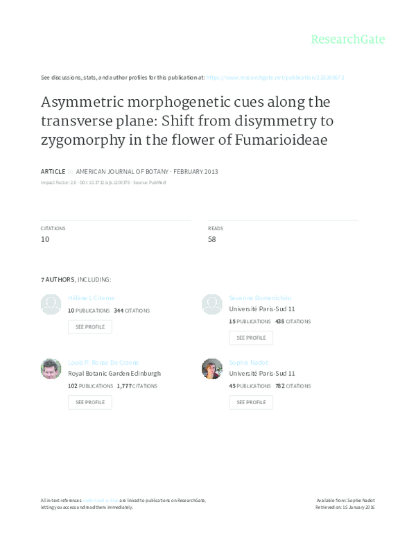 (PDF) Asymmetric morphogenetic cues along the transverse plane: Shift ...