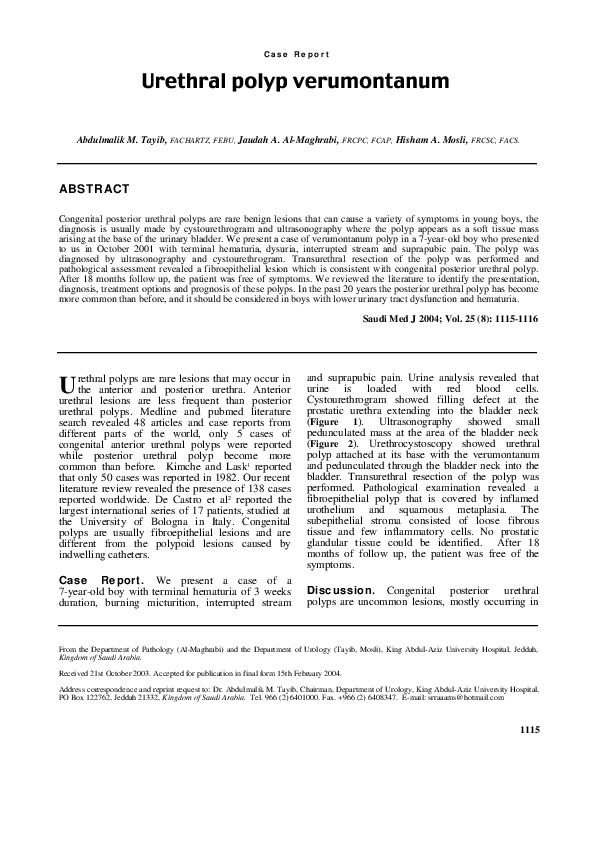 (PDF) Urethral polyp verumontanum | Abdulmalik Tayib, Hisham Mosli, and ...