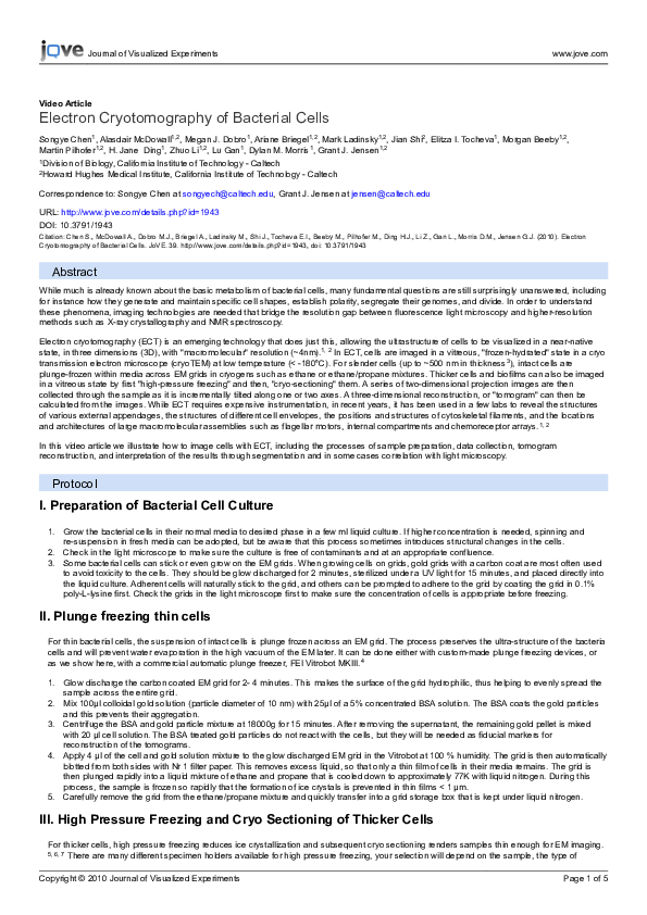 (PDF) Electron Cryotomography of Bacterial Cells