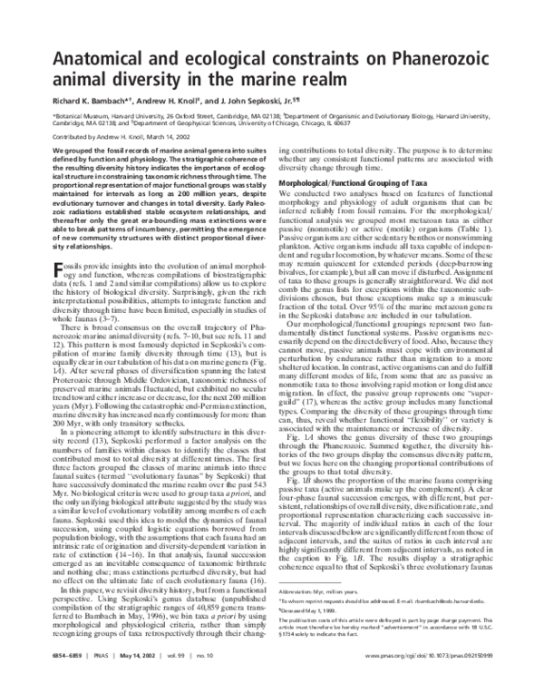 (PDF) Anatomical and ecological constraints on Phanerozoic animal ...