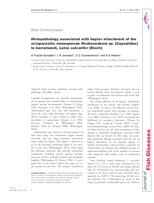 (PDF) Histopathology associated with haptor attachment of the ...