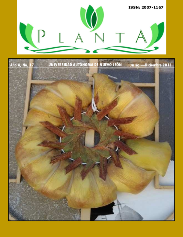 (PDF) BIOLOGIA E IMPORTANCIA DEL SOTOL (Dasylirion spp). PARTE II ...