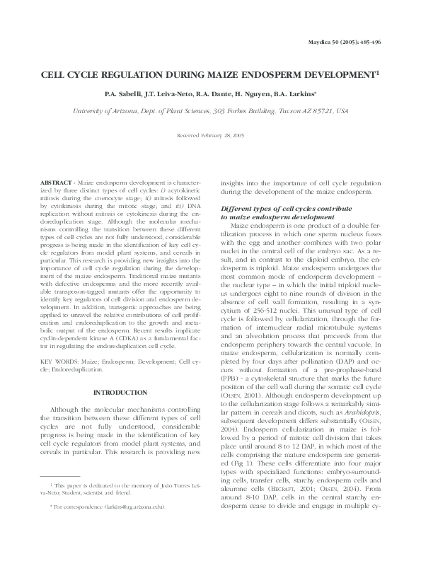 (PDF) Cell cycle regulation during maize endosperm development