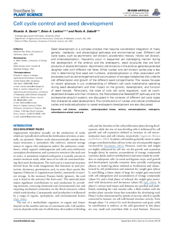 (PDF) Cell cycle control and seed development