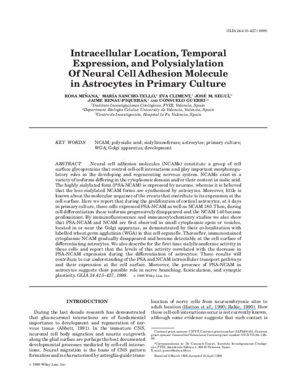 (PDF) Neural cell adhesion molecule is endocytosed via a clathrin‐dependent pathway | Juan Diego ...