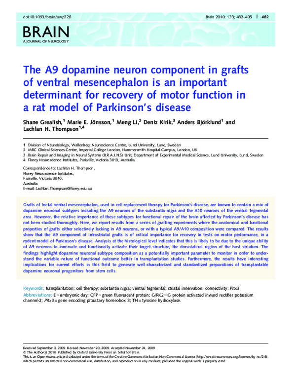 (PDF) The A9 dopamine neuron component in grafts of ventral ...