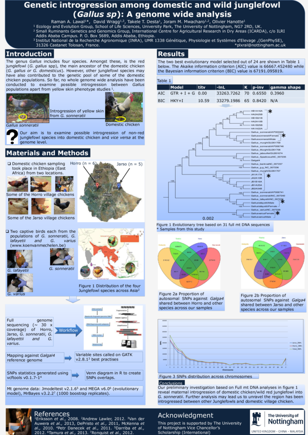 (PDF) Genetic introgression among domestic and wild junglefowl (Gallus ...