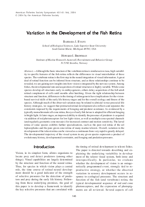 (PDF) Variation in the development of the fish retina