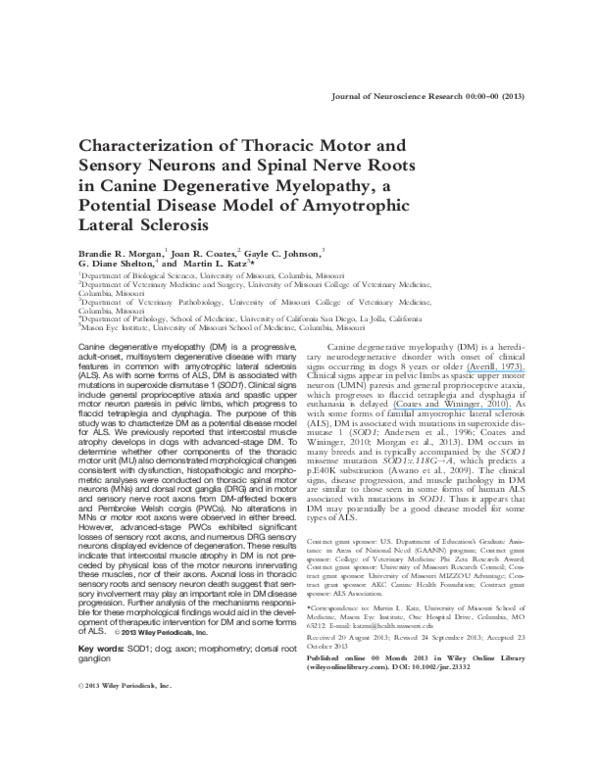 (PDF) Characterization of thoracic motor and sensory neurons and spinal ...