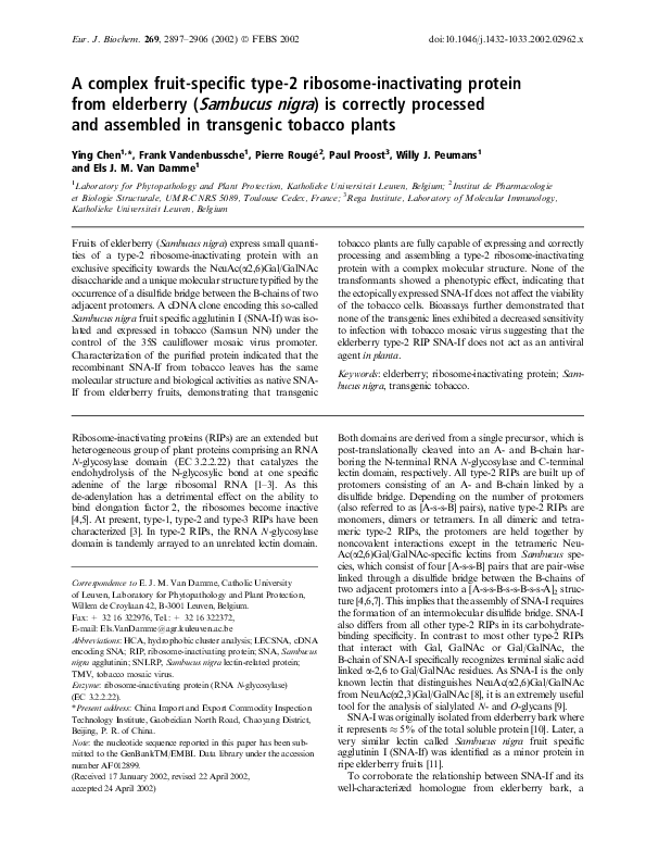 (PDF) A complex fruit-specific type-2 ribosome-inactivating protein ...
