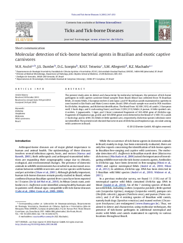 (PDF) Molecular detection of tick-borne bacterial agents in Brazilian ...