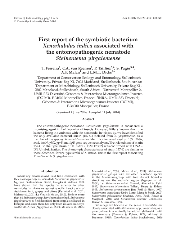 Pdf First Report Of The Symbiotic Bacterium Xenorhabdus Indica
