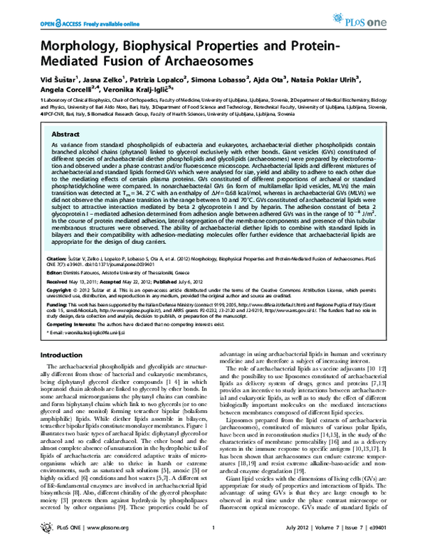 (PDF) Morphology, Biophysical Properties and Protein-Mediated Fusion of Archaeosomes