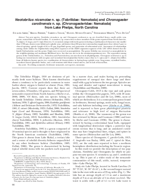 (PDF) Neotobrilus nicsmolae n. sp. (Tobrilidae: Nematoda) and ...