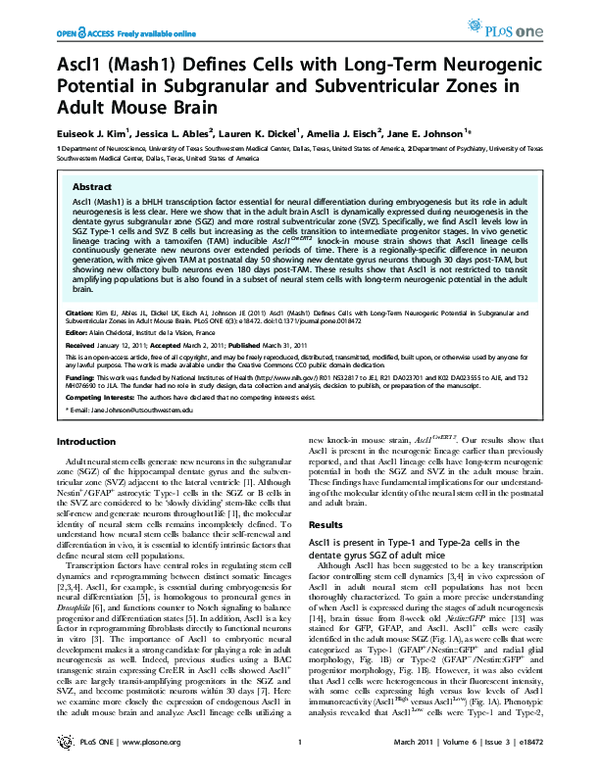 (PDF) Ascl1 (Mash1) Defines Cells with Long-Term Neurogenic Potential ...