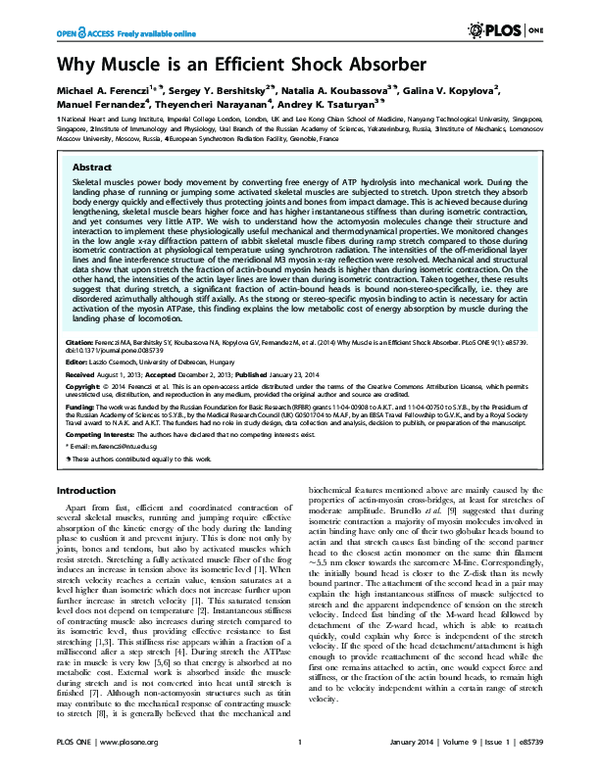 (PDF) Why Muscle is an Efficient Shock Absorber