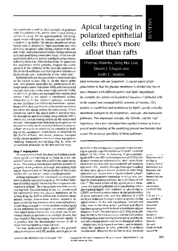 (PDF) Apical targeting in polarized epithelial cells: There's more ...