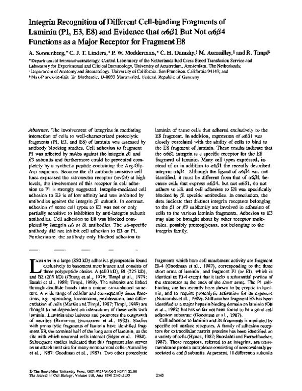 (PDF) Integrin recognition of different cell-binding fragments of laminin (P1, E3, E8) and ...