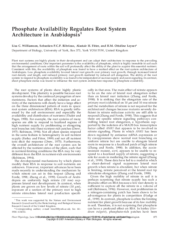 (PDF) Phosphate availability regulates root system architecture in ...