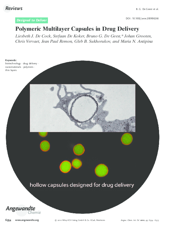 (PDF) Polymeric Multilayer Capsules in Drug Delivery