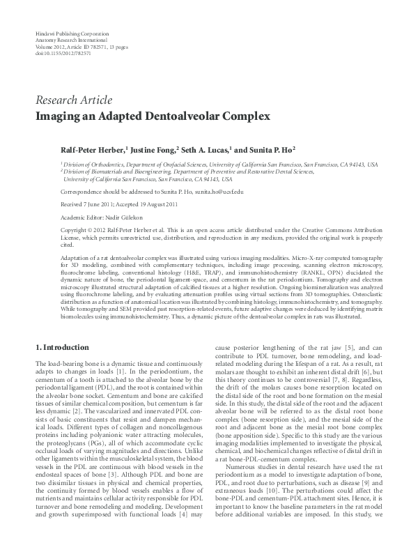 (PDF) Imaging an adapted Dentoalveolar Complex - 2012