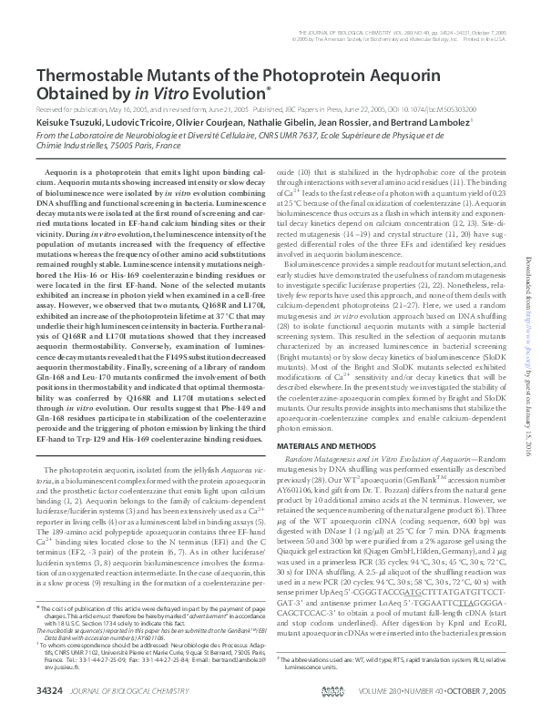 (PDF) Thermostable Mutants of the Photoprotein Aequorin Obtained by in ...