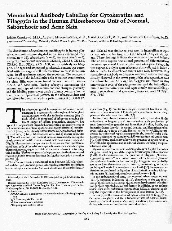(PDF) Monoclonal Antibody Labeling for Cytokeratins and Filaggrin in ...
